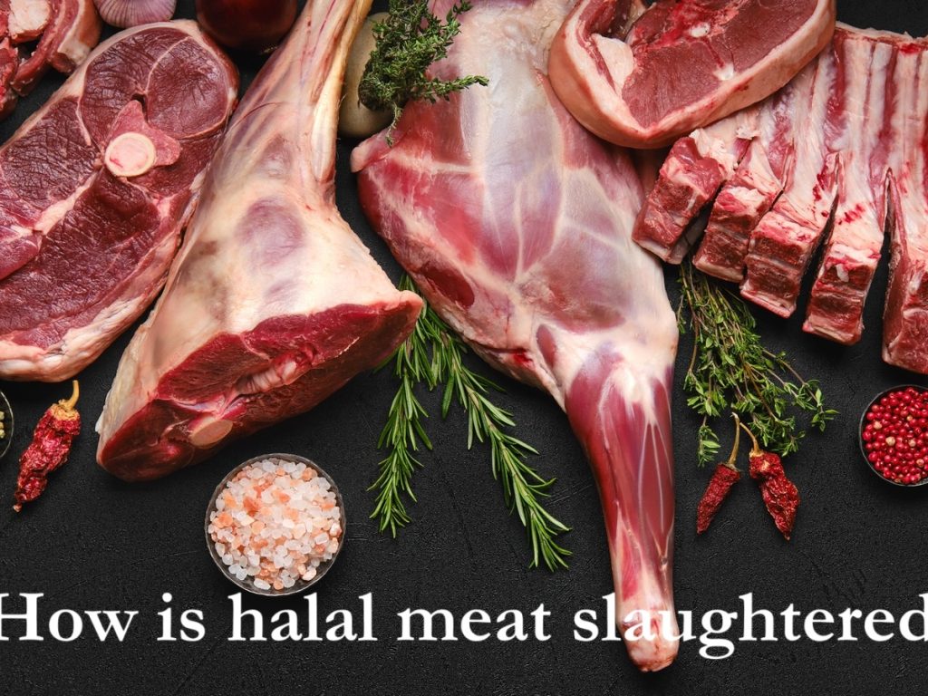 Can pork be halal? - Ask Halal